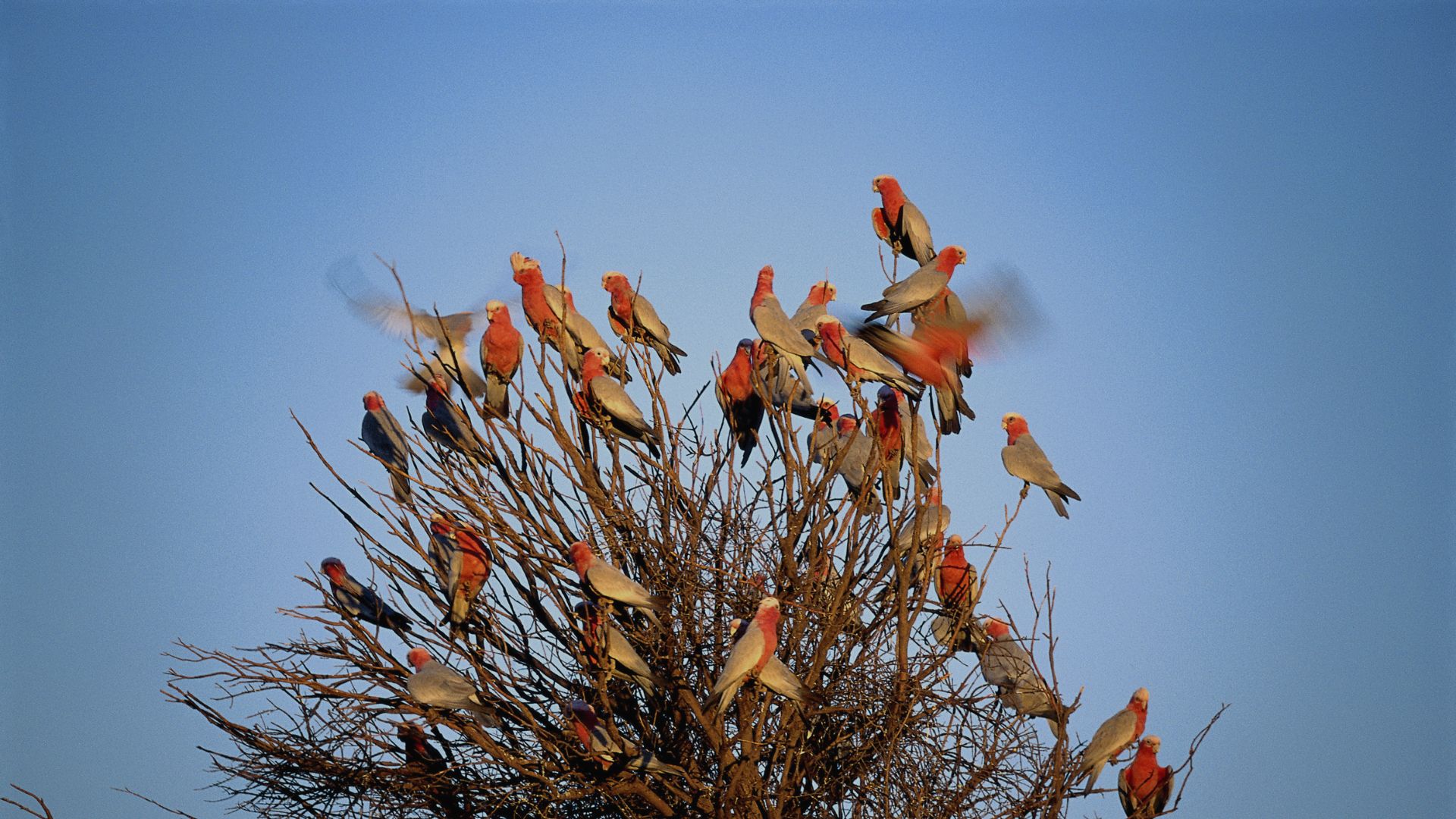 What Is Carbon Farming Carbon Farming